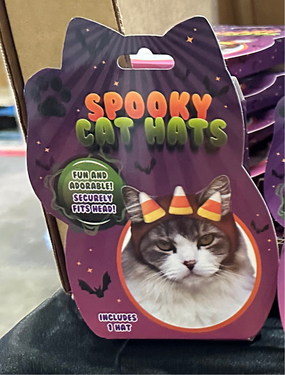Spooky cat hats, pumpkin, candy, corn, spiderweb, werewolf, prisoner ...